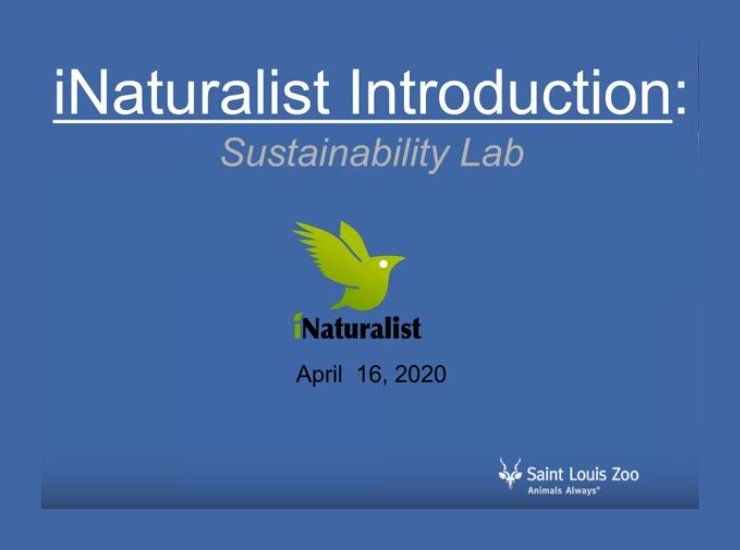 St. Louis Zoo Citizen Science: iNaturalist Training | earthday365